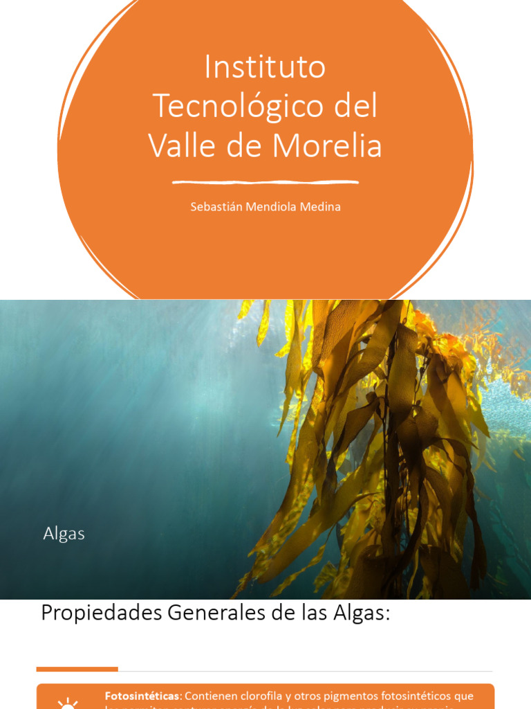 Presentación 65 | PDF | Algas | Biología