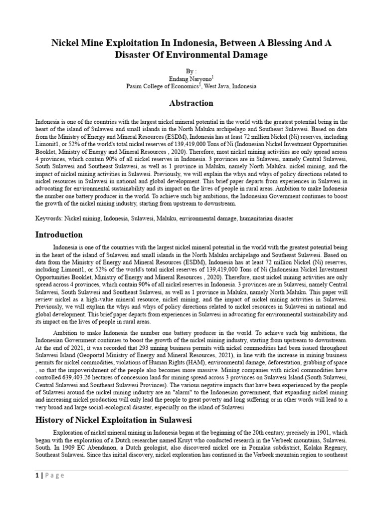 Nickel Mine Exploitation in Indonesia | PDF | International Energy ...