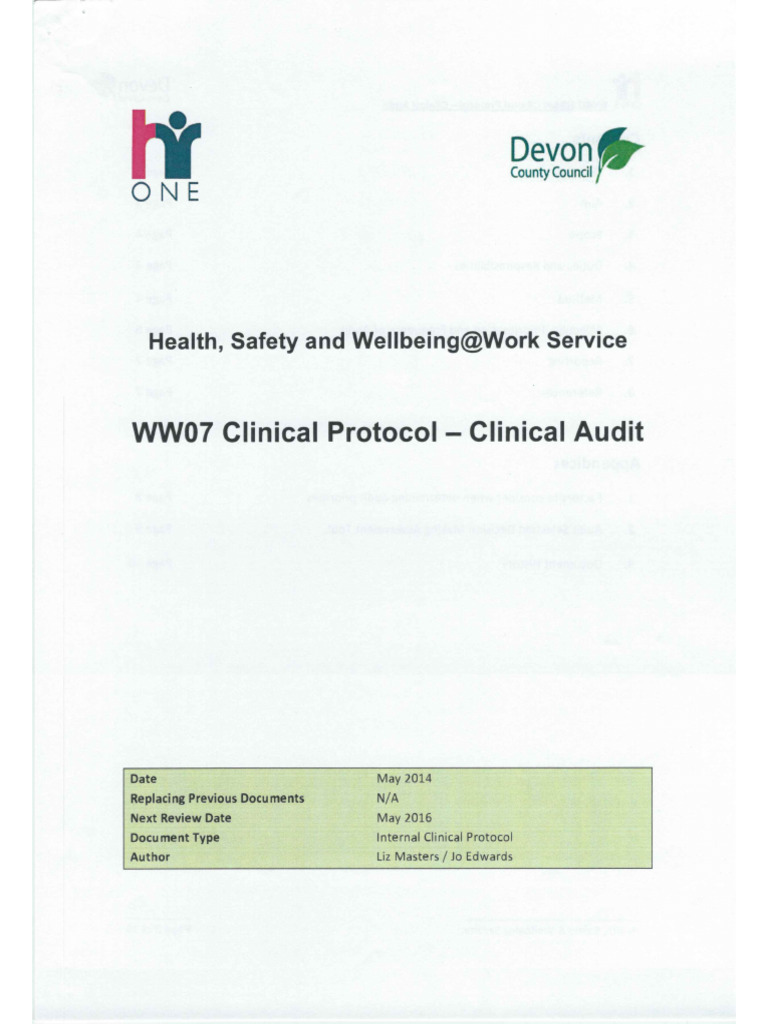 Audit Protocol DCC | PDF