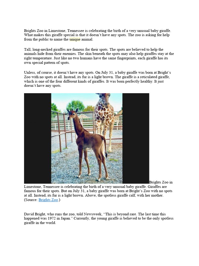 Brights Zoo in Limestone | PDF | Giraffe | Zoo