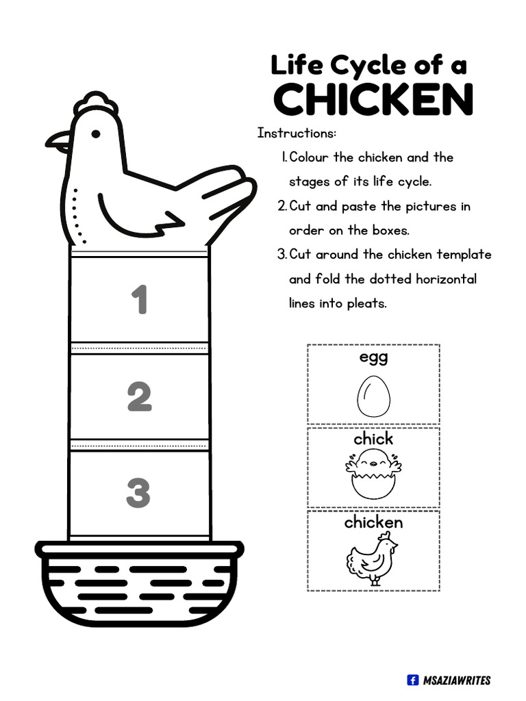 Life Cycle | PDF | Butterfly | Frog