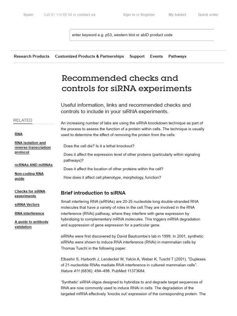 Recommended Checks and Controls For siRNA Experiments - Abcam | PDF ...