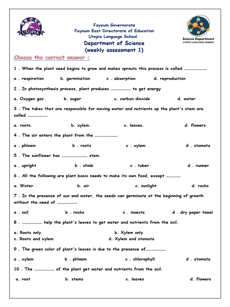 Science Weekly Assessment: Plant Growth | PDF | Home & Garden | Science ...