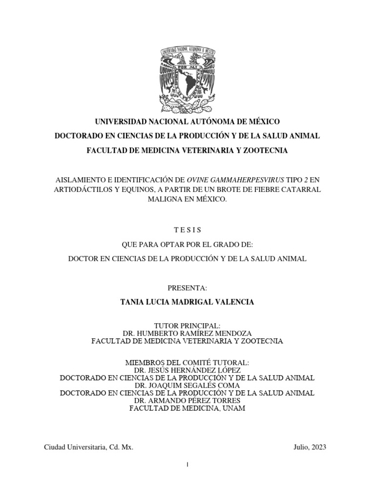 Fiebre Catarral Maligna Tesis Doctoral | PDF | Virus | Reacción en ...
