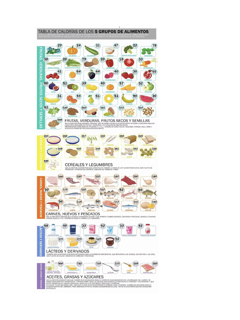 Infografia Classificacion de Los Alimentos | PDF | Estilo de vida