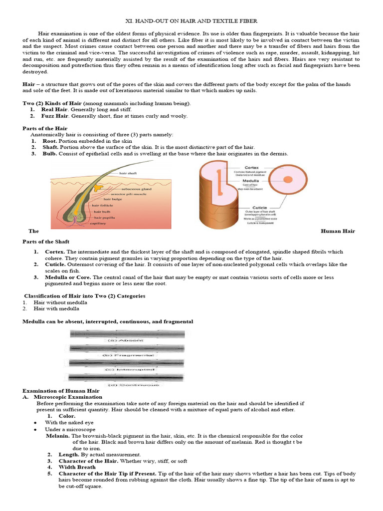 Hair And Textile Fiber Pdf Textiles Hair