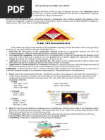 10 Famous Arsonists and Why | PDF | Arson | Crime & Violence