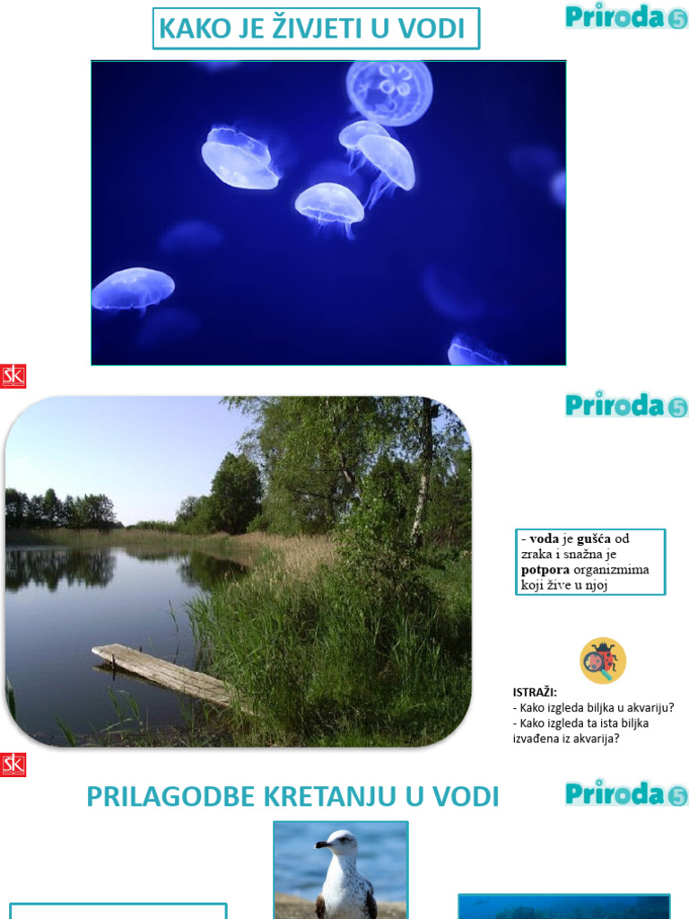 11 KAKO+JE+ZIVJETI+U+VODI Priroda+5-SK | PDF