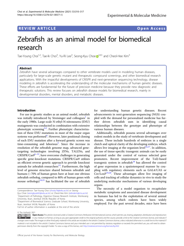 Zebrafish As An Animal Model For Biomedical-5b | PDF | Gene Knockout ...