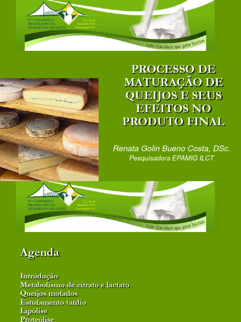 Renata Golin - PROCESSO DE MATURACAO | PDF | Queijo | Leite
