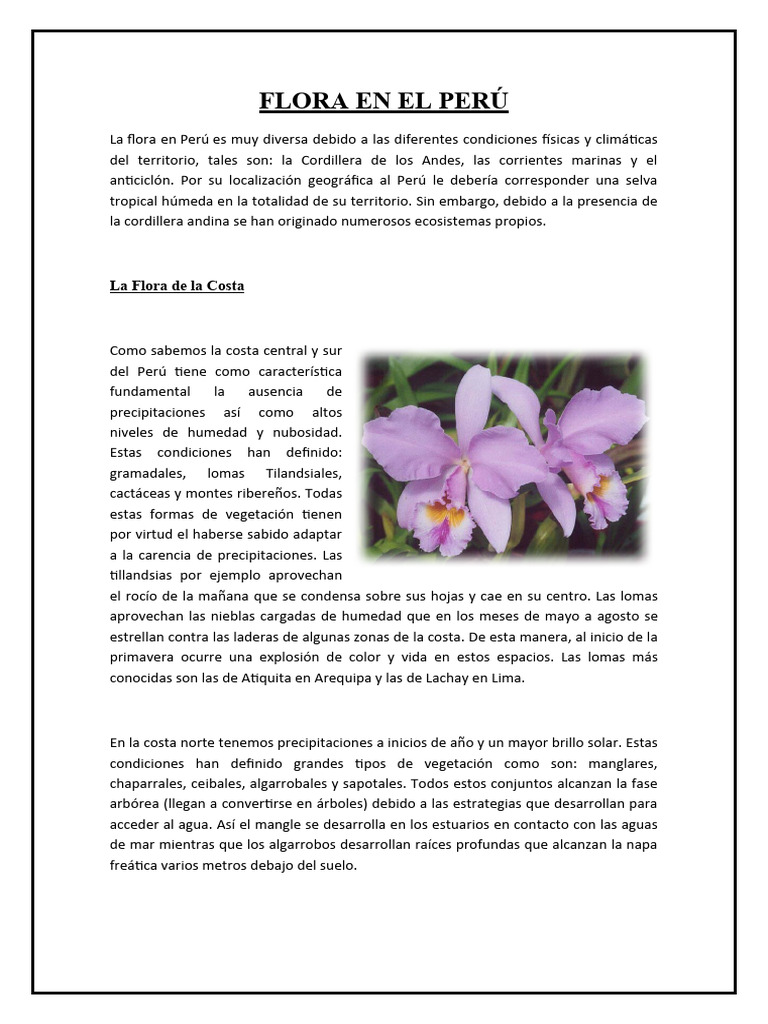 Flora Del Perú | PDF | Plantas | Selva