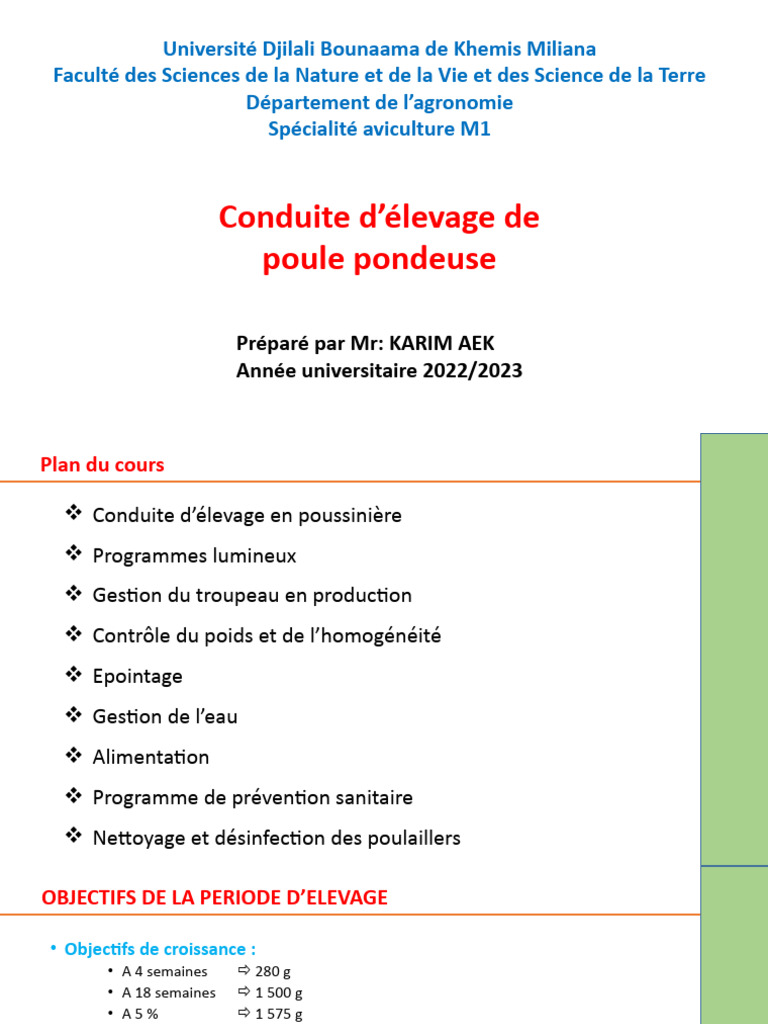 Conduite D'élevage de Poule Pondeuse | PDF | Poulet | Œuf (aliment)