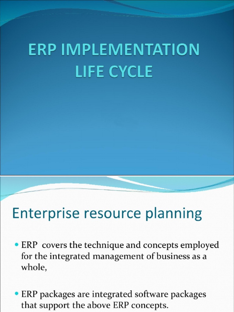 Erp Implementation | PDF