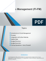 SAP Funds Management | PDF | System | Hierarchy