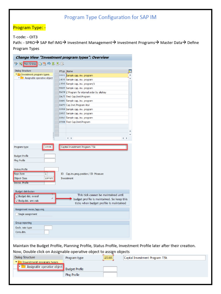 (08-09) - Program Type Configuration For SAP IM | PDF