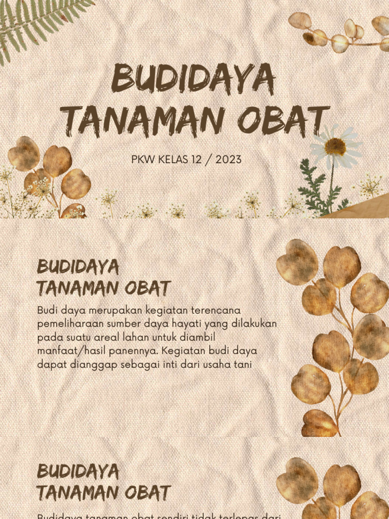 Tahapan Penanaman | PDF