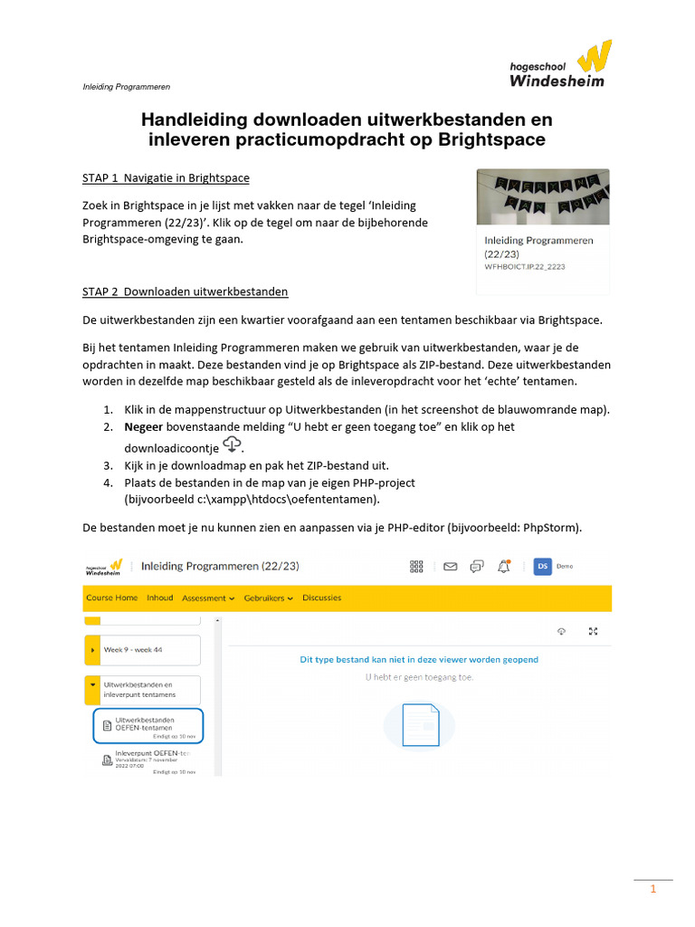 Handleiding IP - Instructies Bij Practicumopdracht | PDF