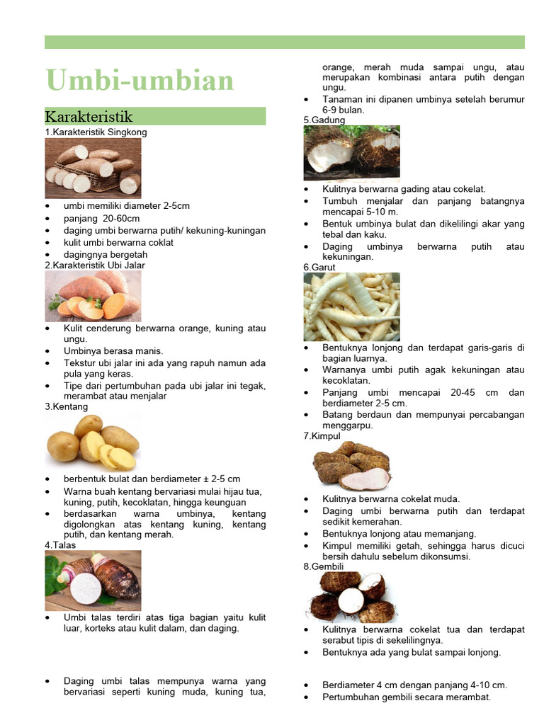 Catatan Ilmu Bahan Makanan Umbi | PDF