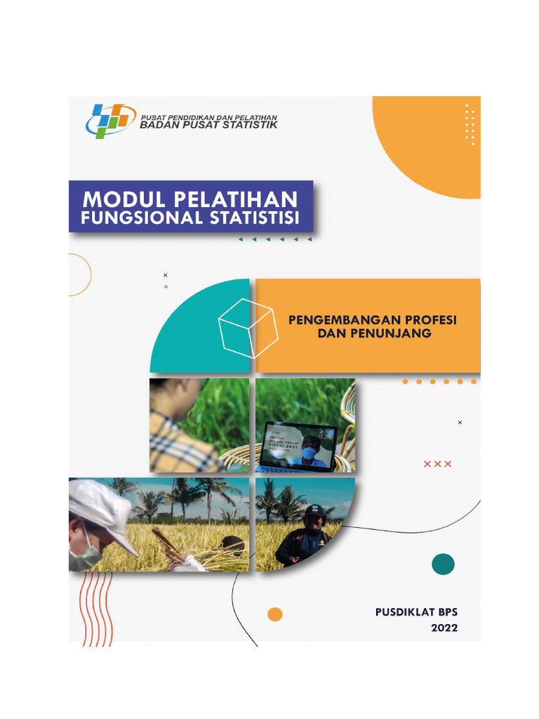 Modul Pengembangan Profesi Statistisi Dan Penunjang | PDF | Karier ...