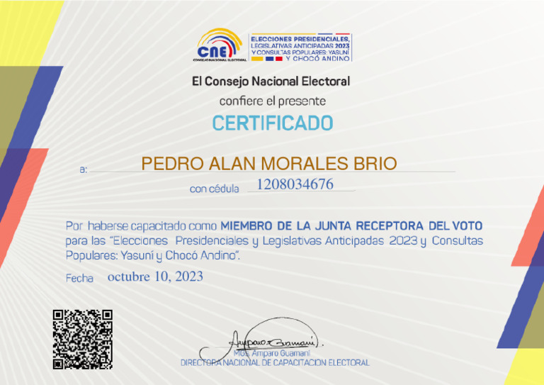 Certificado ALAN | PDF | Juegos y actividades | Informática