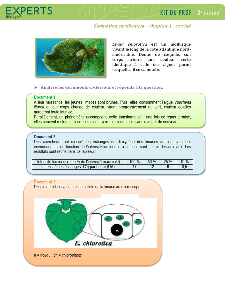 Limaces vertes et photosynthèse | PDF | Algue
