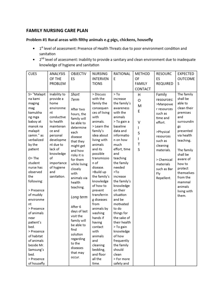 Family Nursing Care Plan | PDF | Hygiene | Nursing