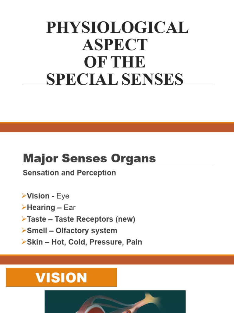 Physiology Aspect of The Special Senses | PDF | Ear | Senses