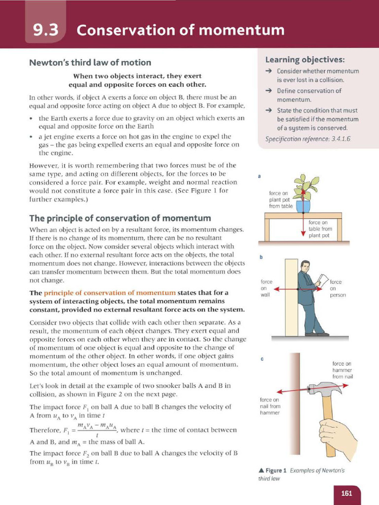 903 Conservation of Momentum | PDF | Force | Momentum