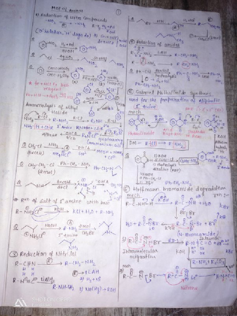 Amine Short Notes | PDF