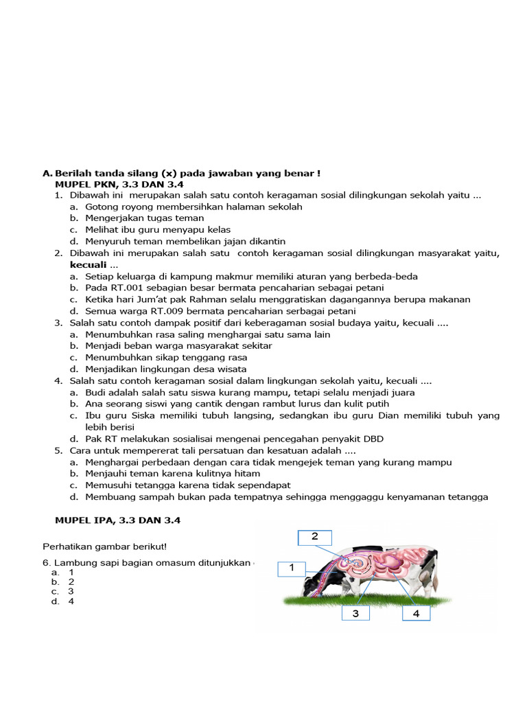 Soalpas T3 SM1 5a | PDF