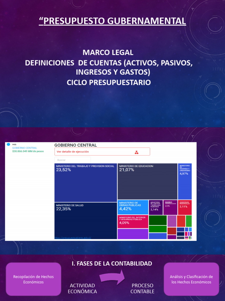 C3 Presupusto Publico en Chile 530963 | PDF | Presupuesto | Contabilidad