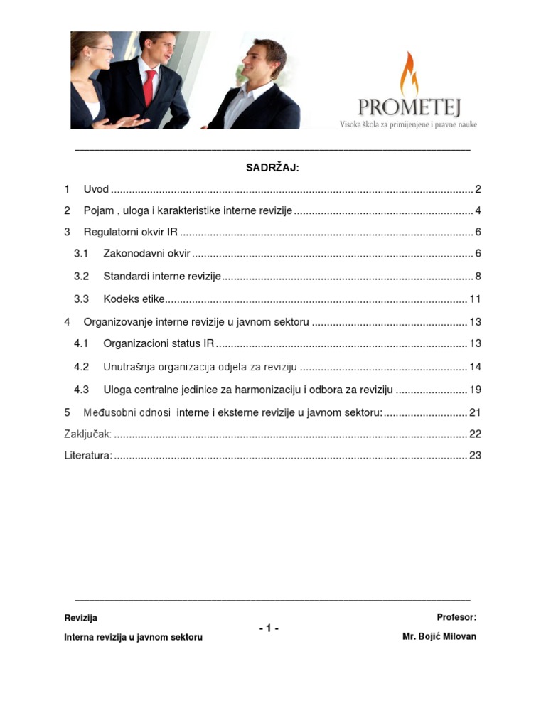 REVIZIJA - Interne Revizije U Javnom Sektoru | PDF