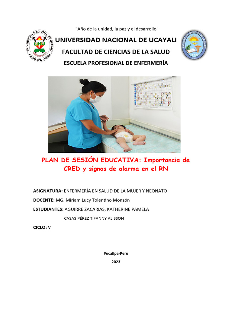 Relacion Paciente Enfermera | PDF