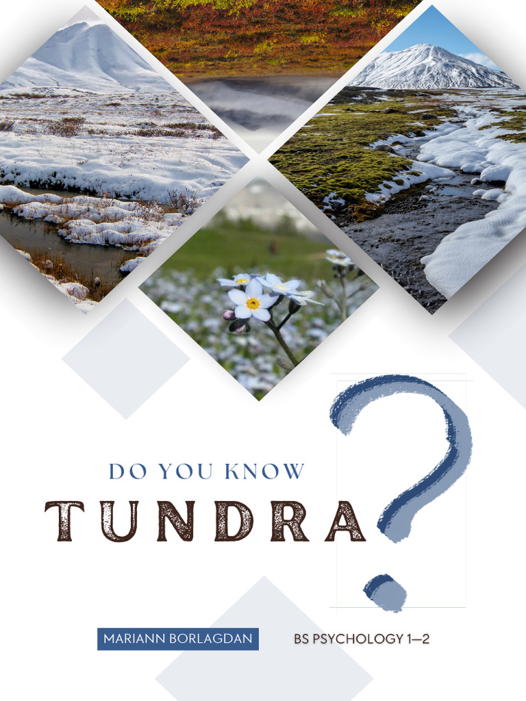 All About Tundra | PDF