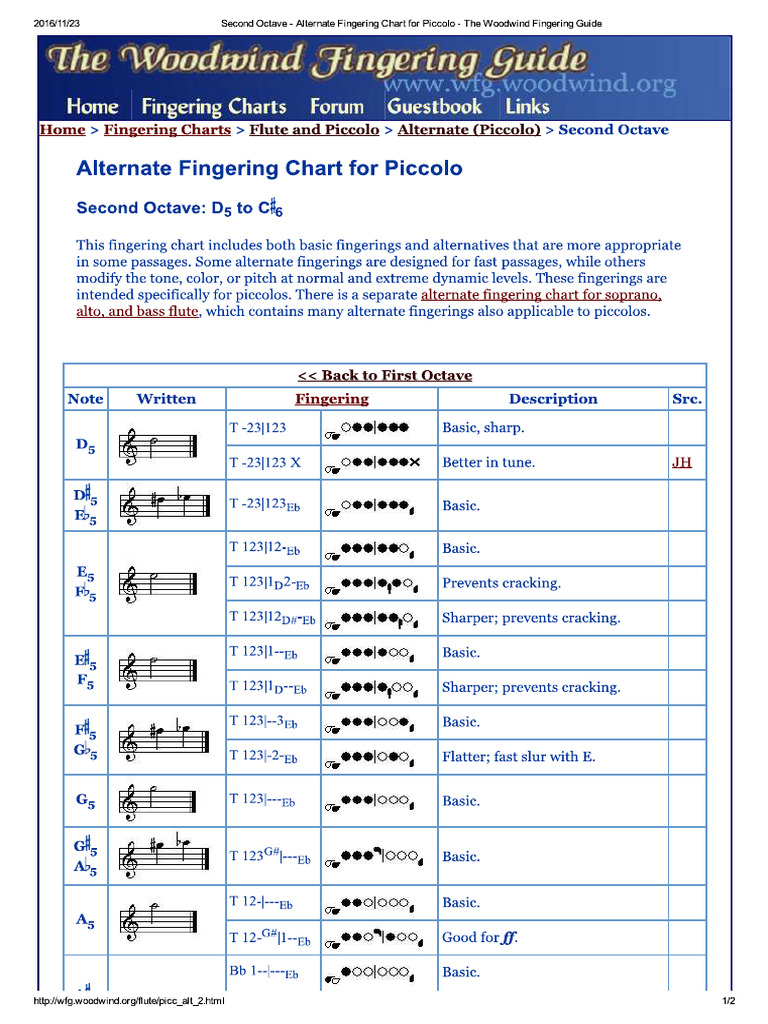 Picclo Fingering 2 | PDF