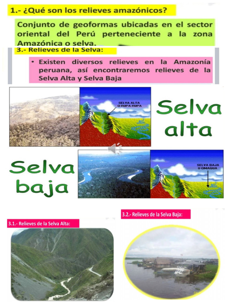 Relieve Amazónico | PDF