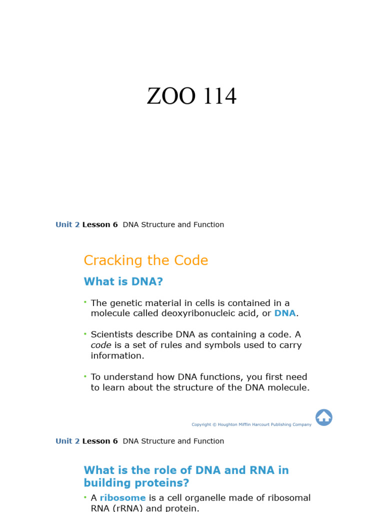 ZOO 114 DNA Function Lecture | PDF | Translation (Biology) | Dna ...