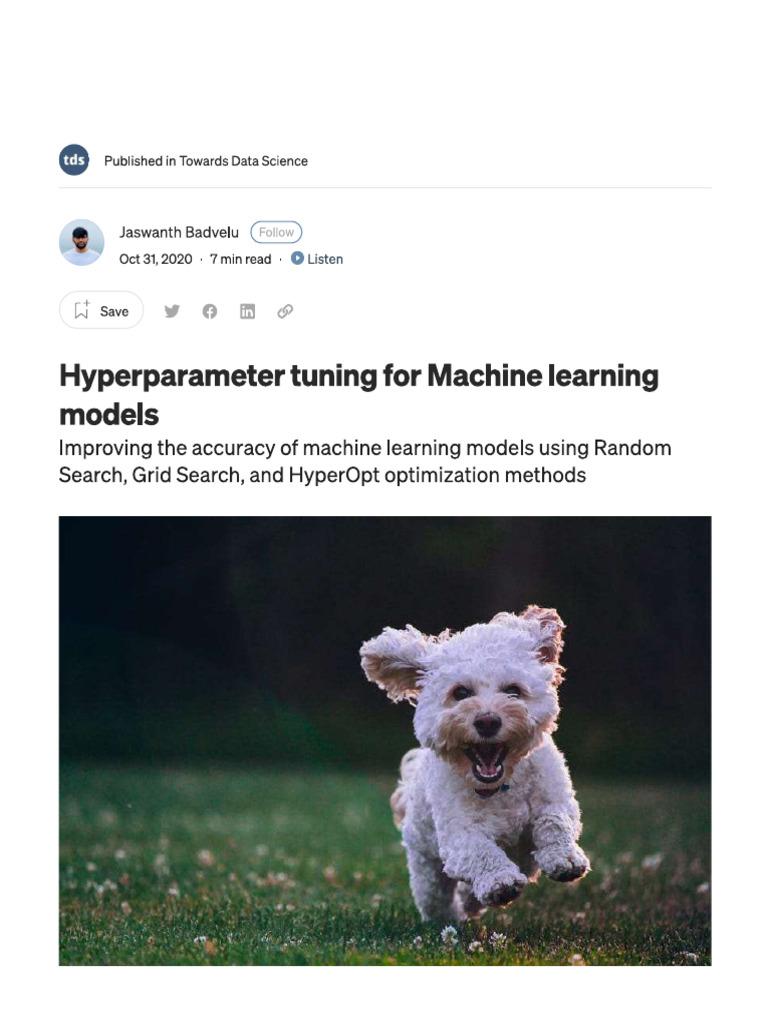Hyperparameter Tuning | PDF