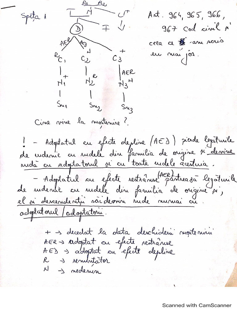 Spete Mostenire Legala | PDF