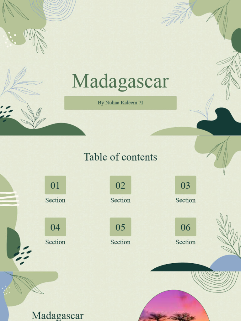 Madagascar | PDF | Madagascar