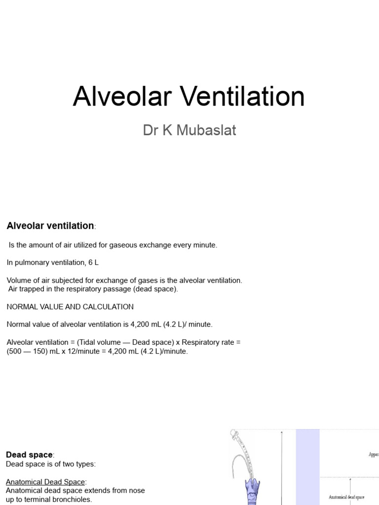 Alveolar Ventilation Basics | PDF