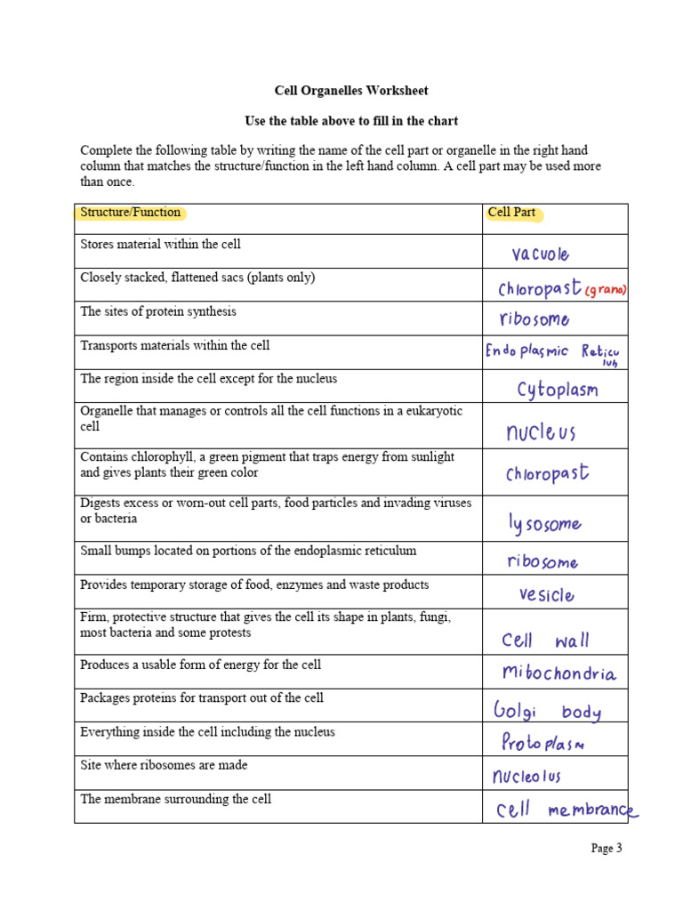 Cell Organelles Worksheet - Pgs 3-5 | PDF | Cell (Biology) | Organelle