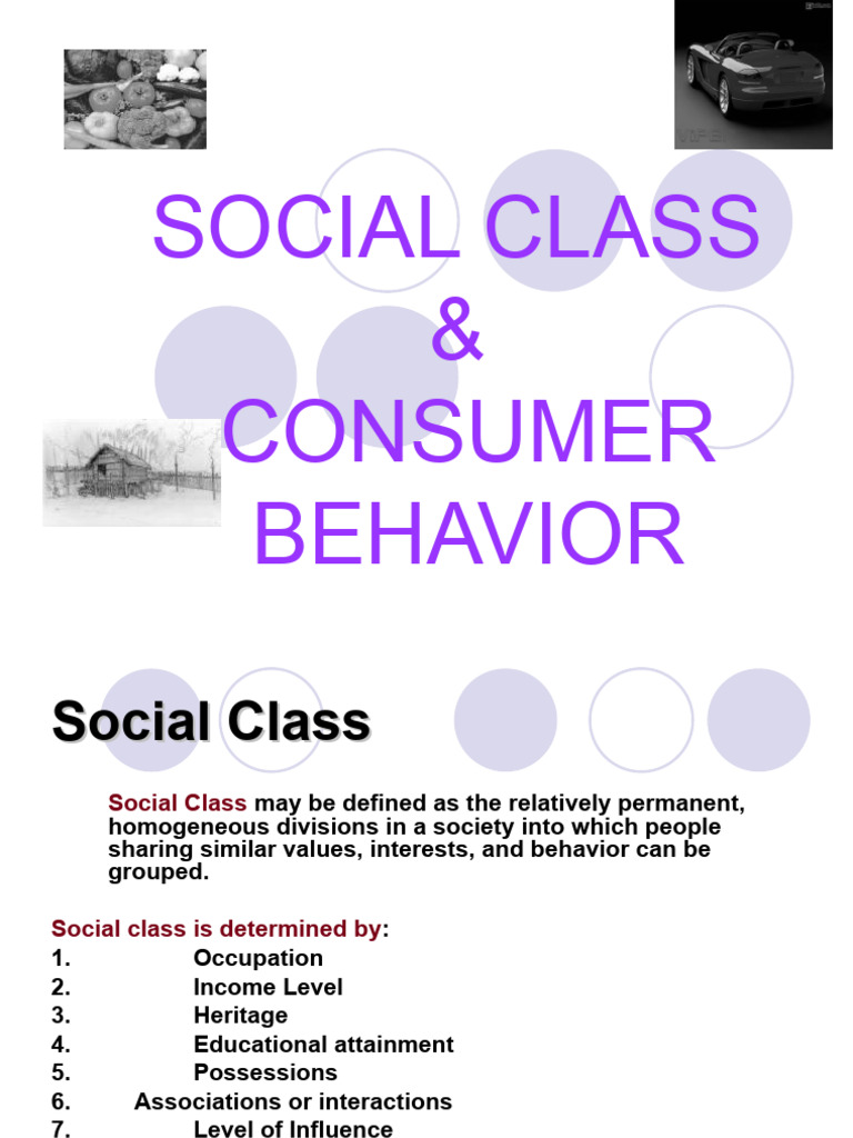 Social Class | PDF | Social Stratification | Social Mobility