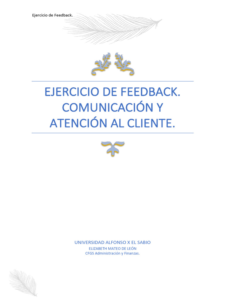 Ejercicio de Feedback | PDF | Business | Marketing
