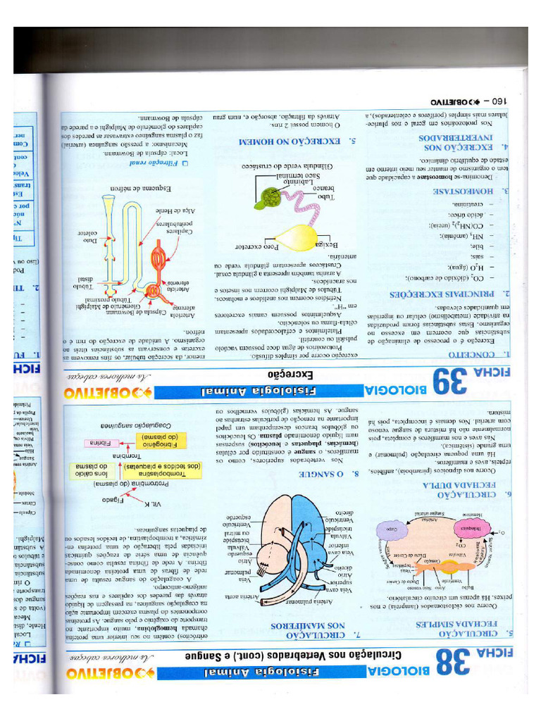 Img723 Compactado | PDF