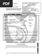 Formato Incapacidad Imss Editable Word | PDF