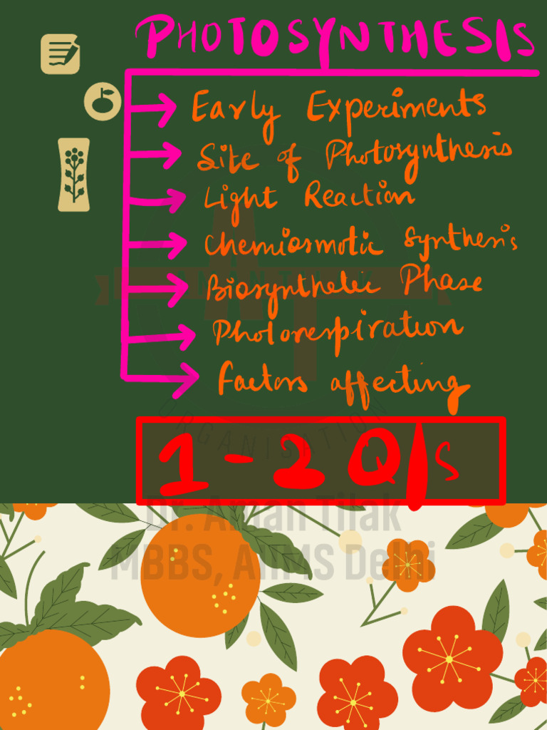 Early Photosynthesis Experiments | PDF | Photosynthesis | Biology