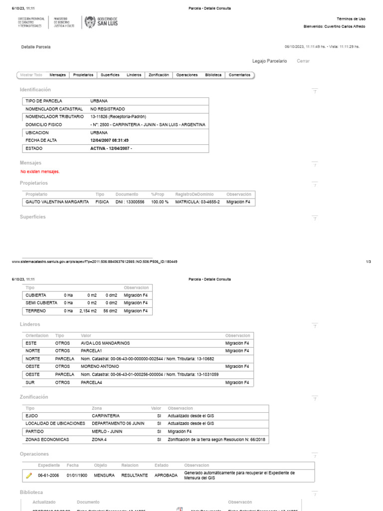 Parcela - Detalle Consulta Nati | PDF | Datos geográficos e información | Cartografía