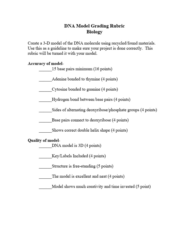 DNA Model Grading Rubric | PDF | Computers