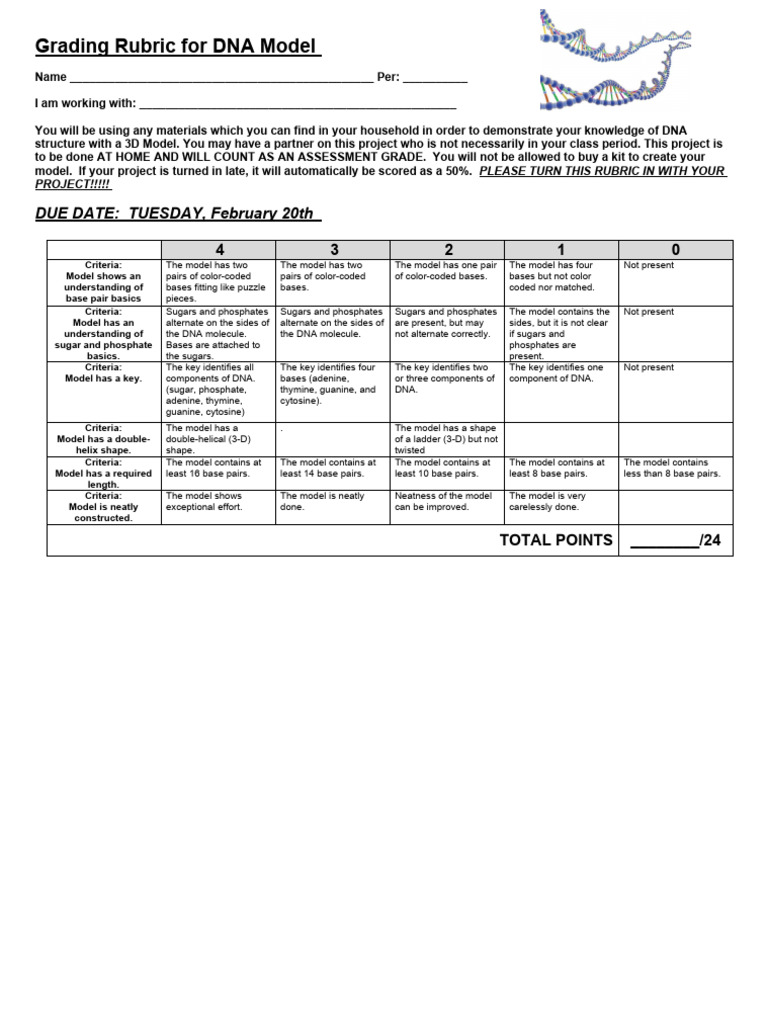 Grading Rubric For DNA Model | PDF | Dna | Base Pair